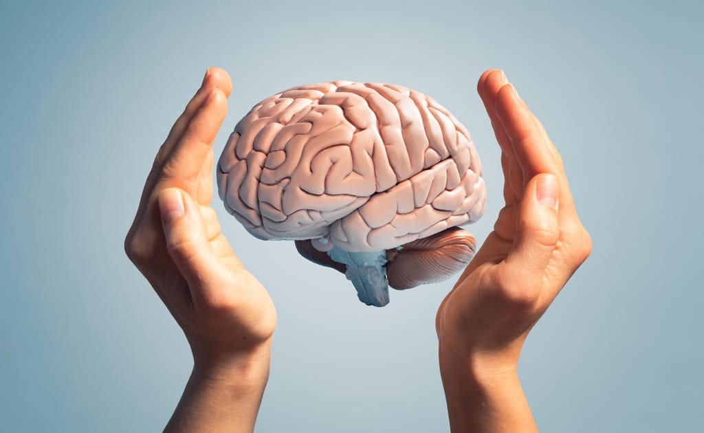 Neuroplasticity: How the Adult Brain Continues to Evolve