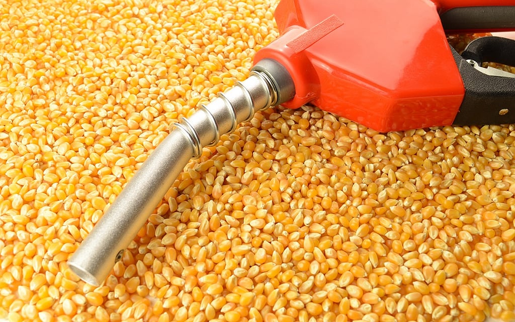 Economic Survey 2026: Ethanol Program Risks India's Food Security