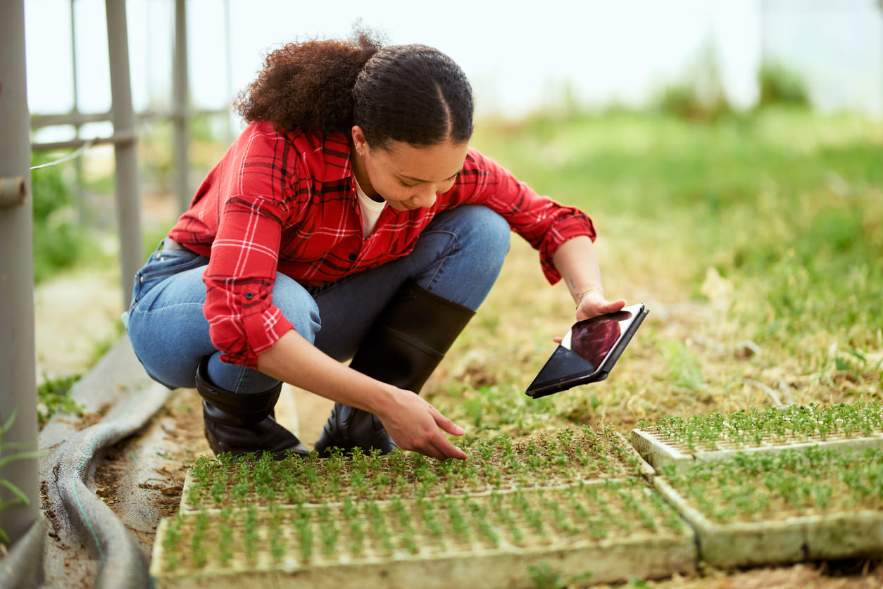 Africa's Food Security: Investing in Technology and Data Governance for ...