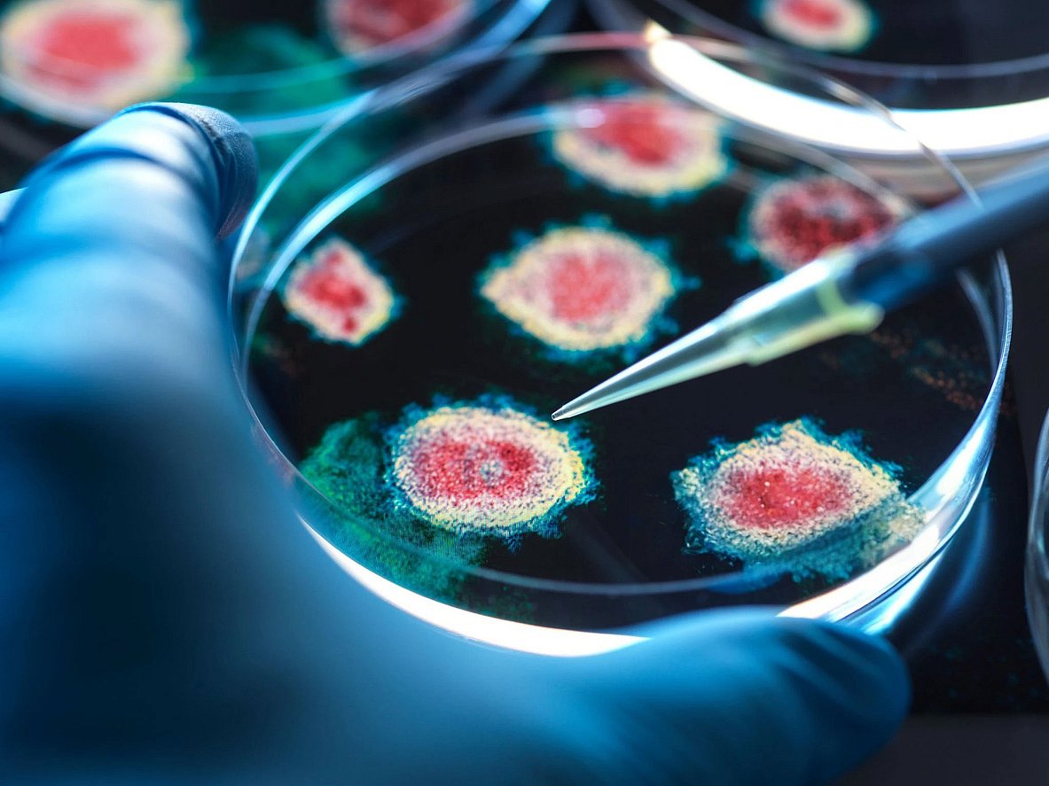 Scientists and Civil Society Warn of Safety Gaps in WHO Pandemic Pact
