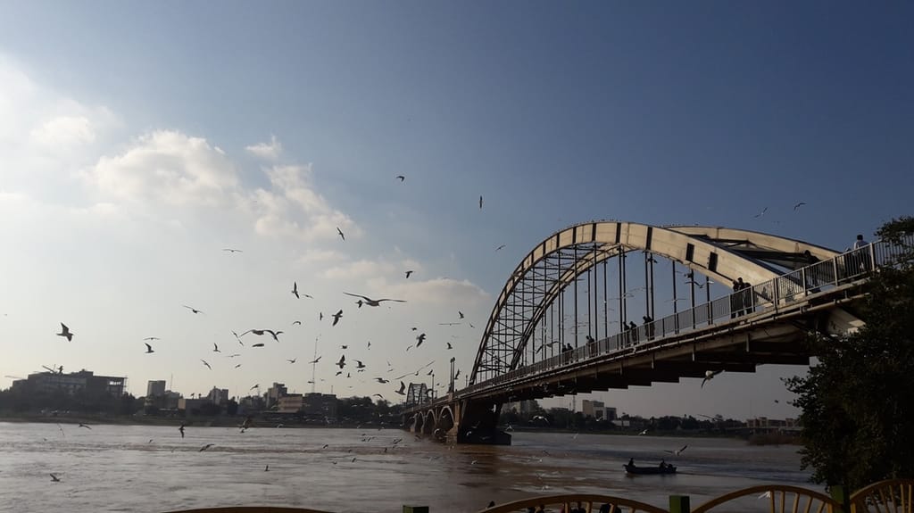 Discover the Bull Sharks of Iran's Karun River: A Hidden Danger