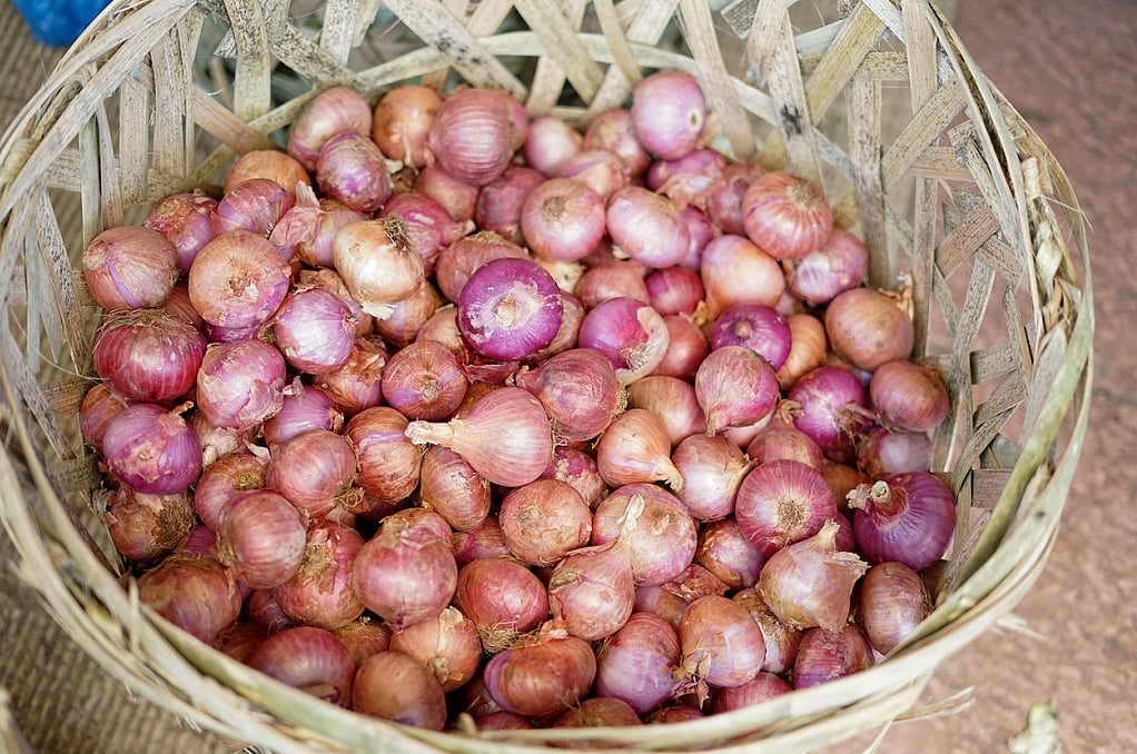 West Asia War, Bangladesh Curbs Crash Indian Onion Prices, Maharashtra ...