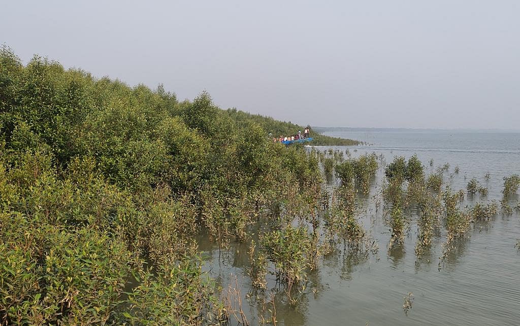 Nature-based solutions can help Sundarbans survive