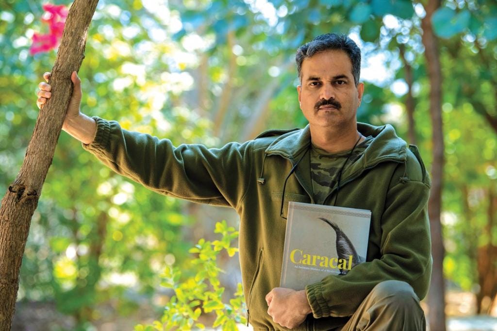 Protect India’s scrublands to save the caracal: Dharmendra Khandal ...