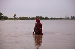 Right against climate change part of right to life, equality: Read the ...