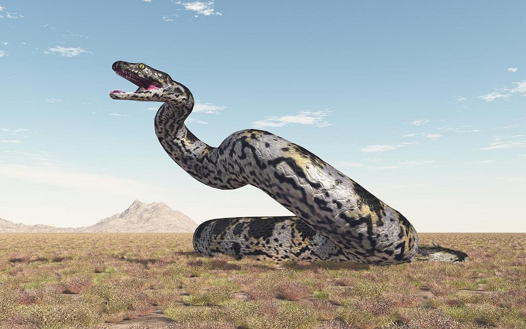 Colossal snake fossil unearthed in Gujarat from 47 million years ago ...