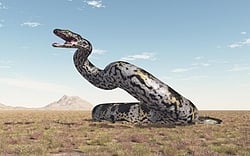 Colossal snake fossil unearthed in Gujarat from 47 million years ago ...