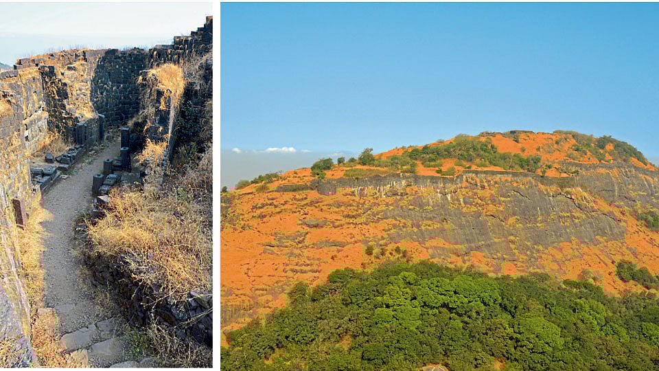 बोरघाटाचा रक्षक | Sakal