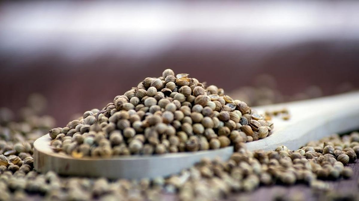 रोज सकाळी प्या धन्याचे पाणी, आरोग्यासाठी अनेक फायदे | Health News | Sakal