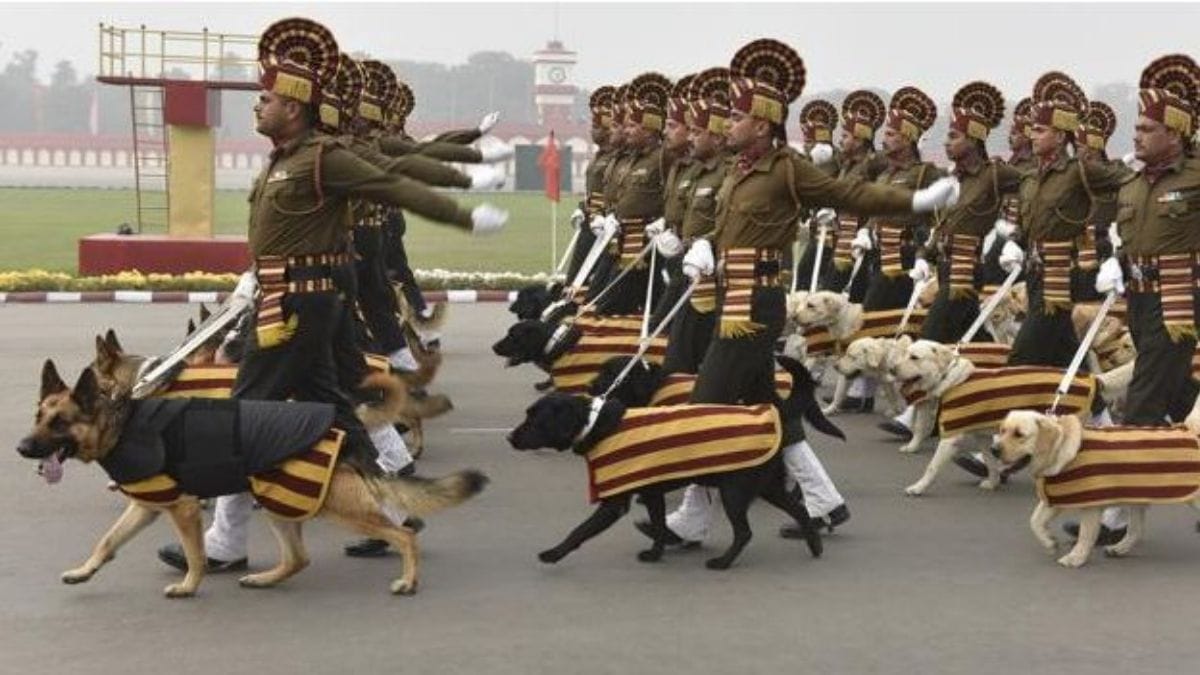 Indian Army Dog Unit: आर्मीच्या 'डॉग स्क्वॉड'बद्दल या 10 गोष्टी जाणून ...