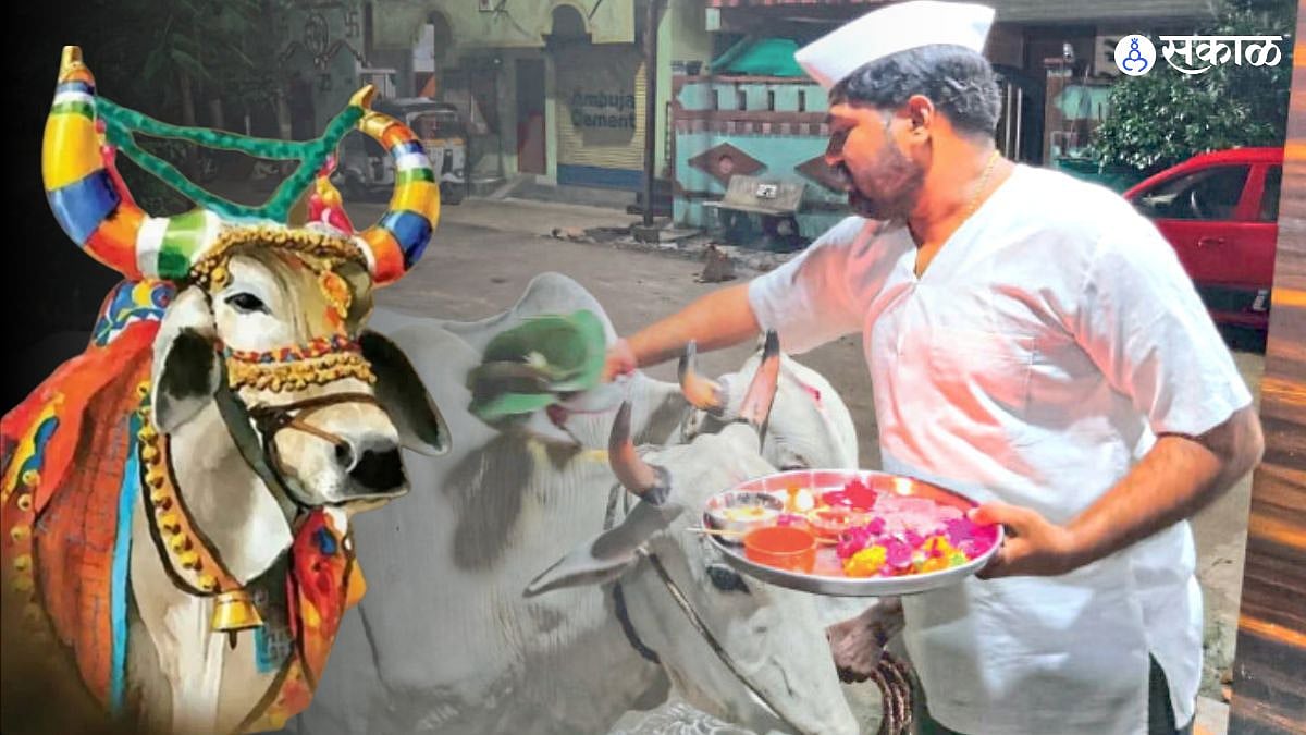 Bail Pola Festival : पोळ्याला सर्जा-राजाची टँकरच्या पाण्यातून अंघोळ; 2 ...