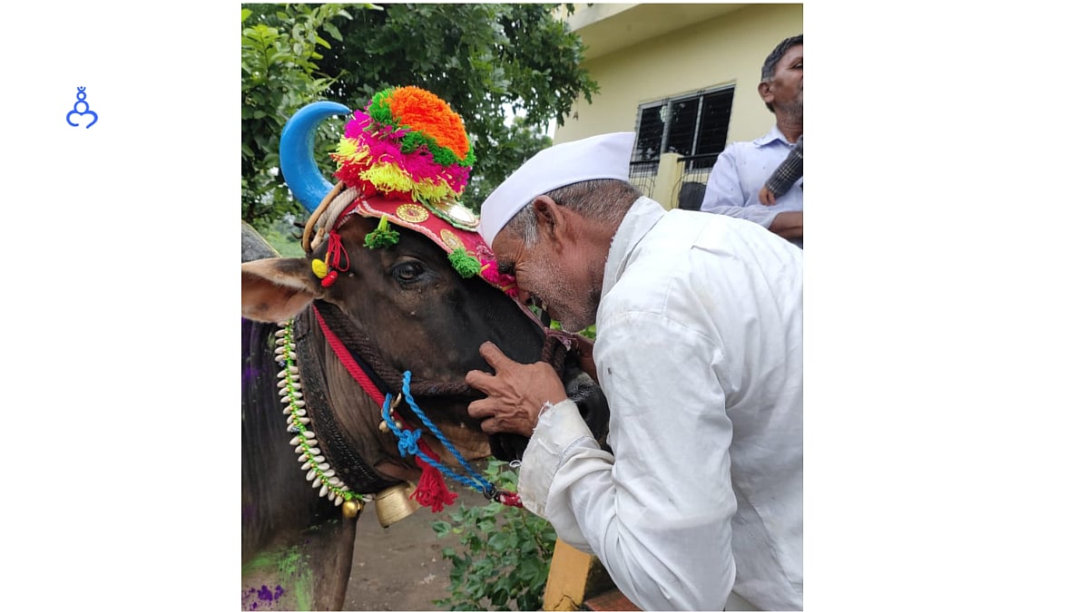 Bail Pola 2022: विदर्भातील गावामध्ये कसा साजरा होतो बैलपोळा? | Sakal