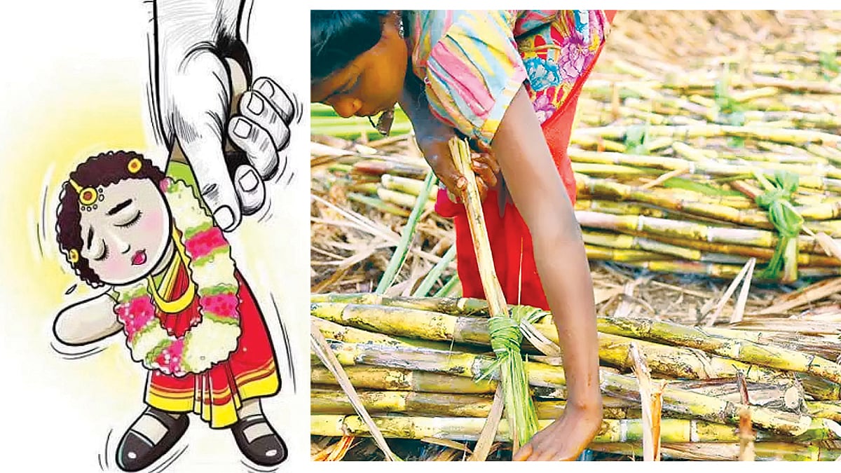 कोयत्याचं लग्न डोरल्याशी ! | Sakal