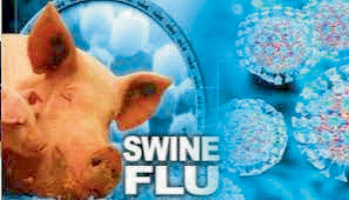 Swine Flu : ‘स्वाईन फ्लू’चे २० रुग्ण व्हेंटिलेटरवर | Sakal