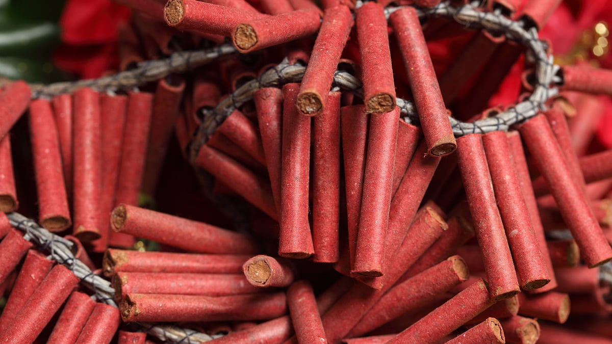 Firecracker Rules: देशातील 'या' राज्यांमध्ये फटाके फोडाल्यास होईल दंड ...