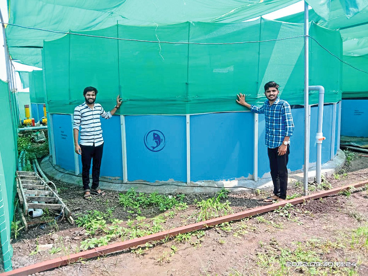 Biofloc Fish Farming Project : मत्स्यपालनातून तरुणांना लाखोंचे उत्पादन ...