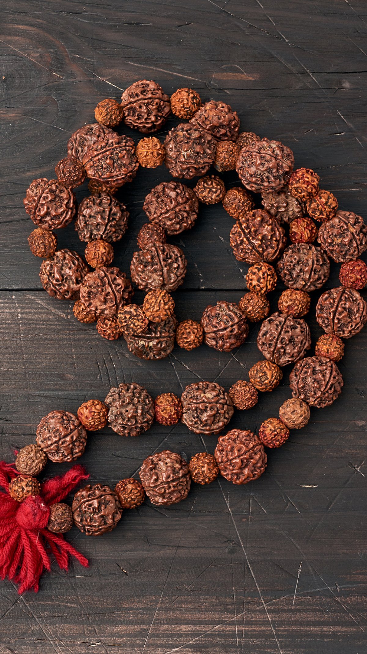 Rudraksha Importance : रुद्राक्ष धारण केल्याने बदलते आयुष्य; जाणून घ्या महत्त्व | Sakal