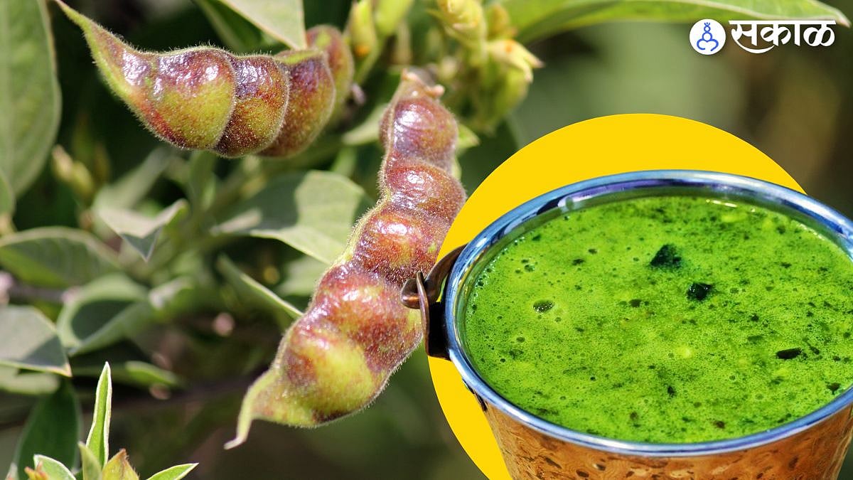 Vidarbha Special Recipe: गावरान तुरीच्या सोल्याची आमटी कशी तयार करायची ...