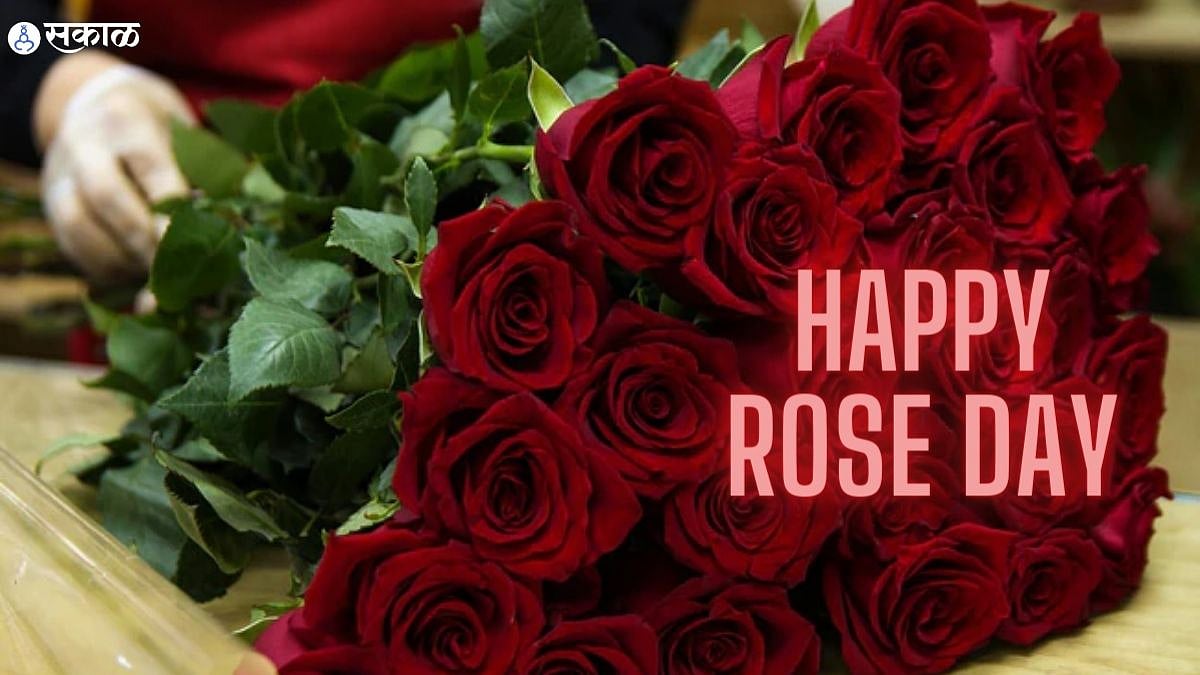 Rose Day Quotes In Marathi : 'हे' सुगंधी विचार पाठवून रोझ डे ला फुलवा ...