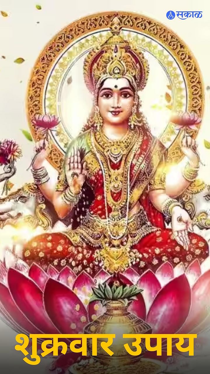 Shukravar Upay : लक्ष्मी कृपा हवी असेल तर आज 'हे' उपाय नक्की करा l ...