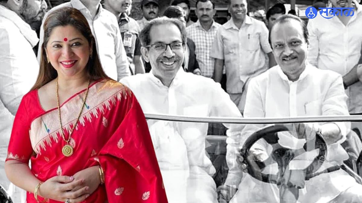 Deepali Sayed: 'सगळं मलाच पाहावं लागतं', दीपाली सय्यद यांनी पवारांच्या ...