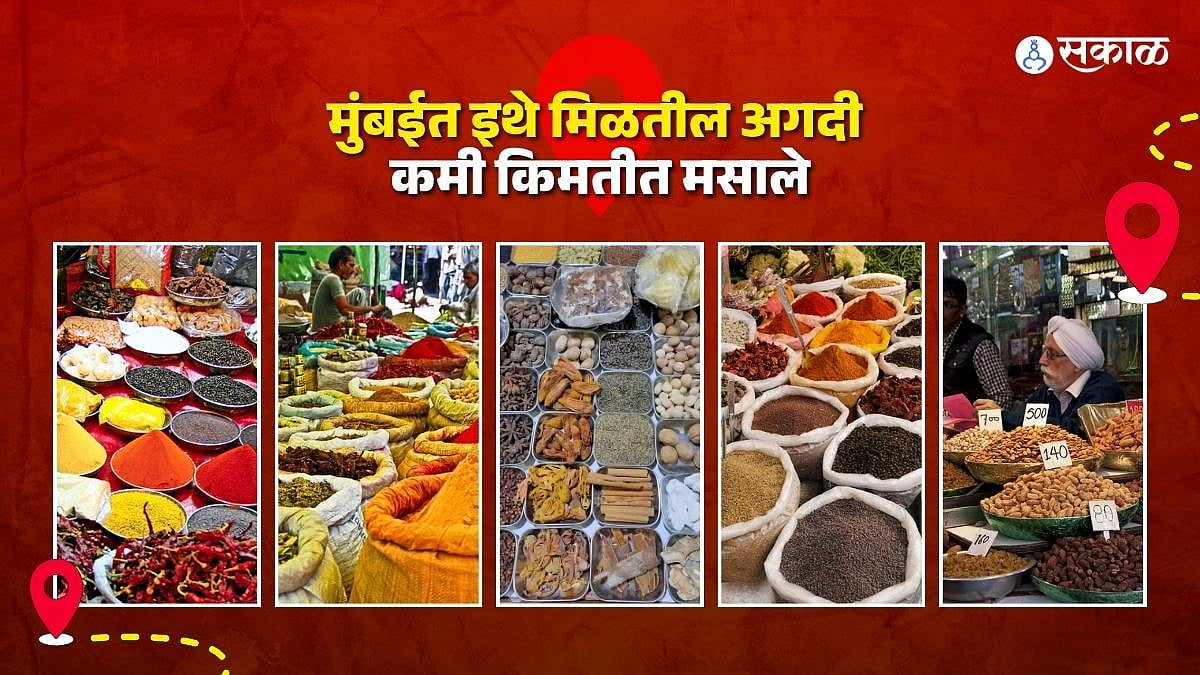 Mumbai Market- wholesale masala market : मुंबईत इथे मिळतील अगदी कमी ...