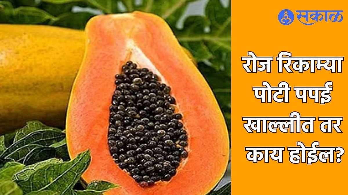 Papaya Health Benefits : रोज रिकाम्या पोटी पपई खाल्लीत तर काय होईल ...