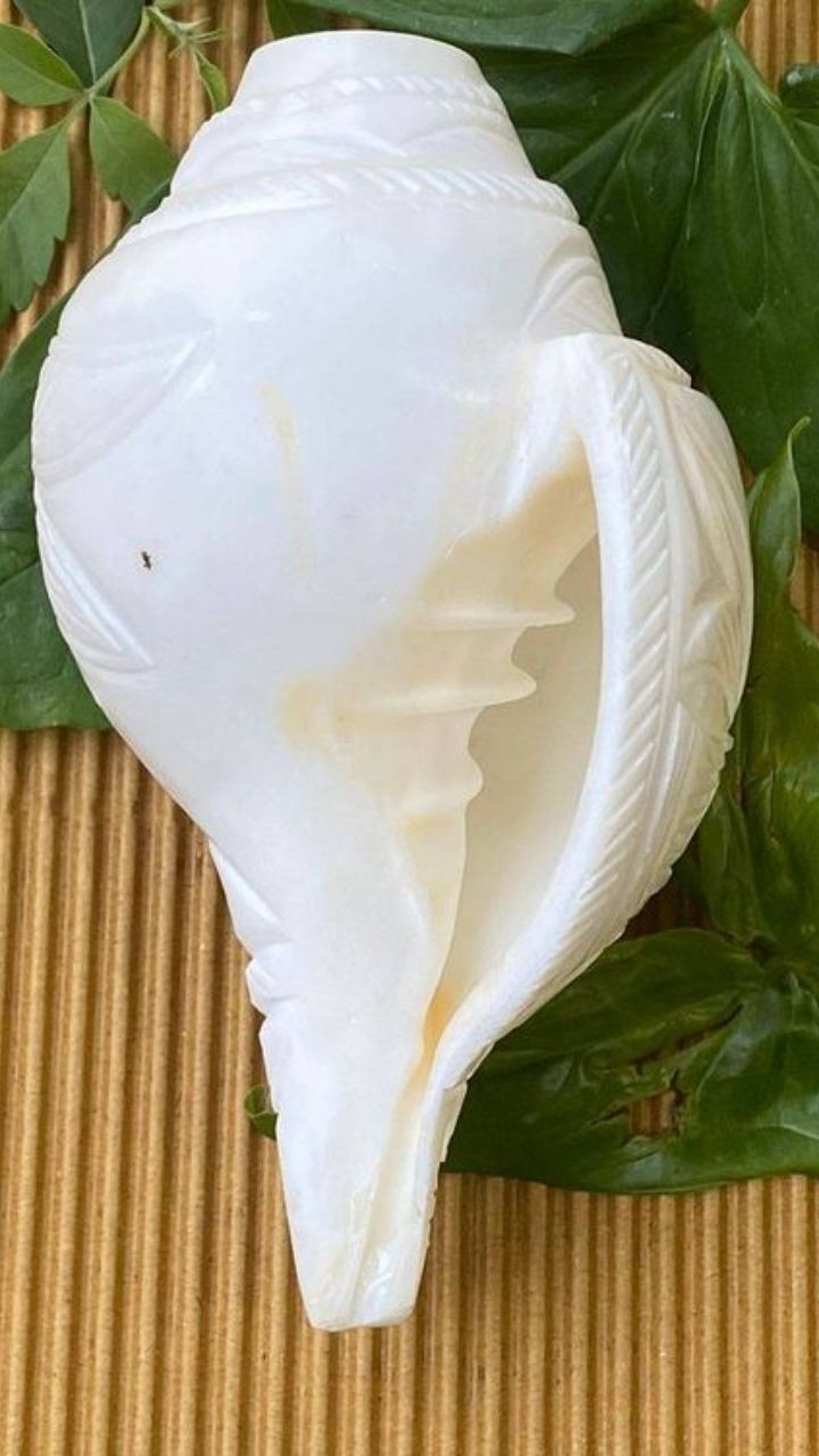 Hindu Religion : शंखाची उत्पत्ती कशी झाली माहितीये l Hindu Religion ...