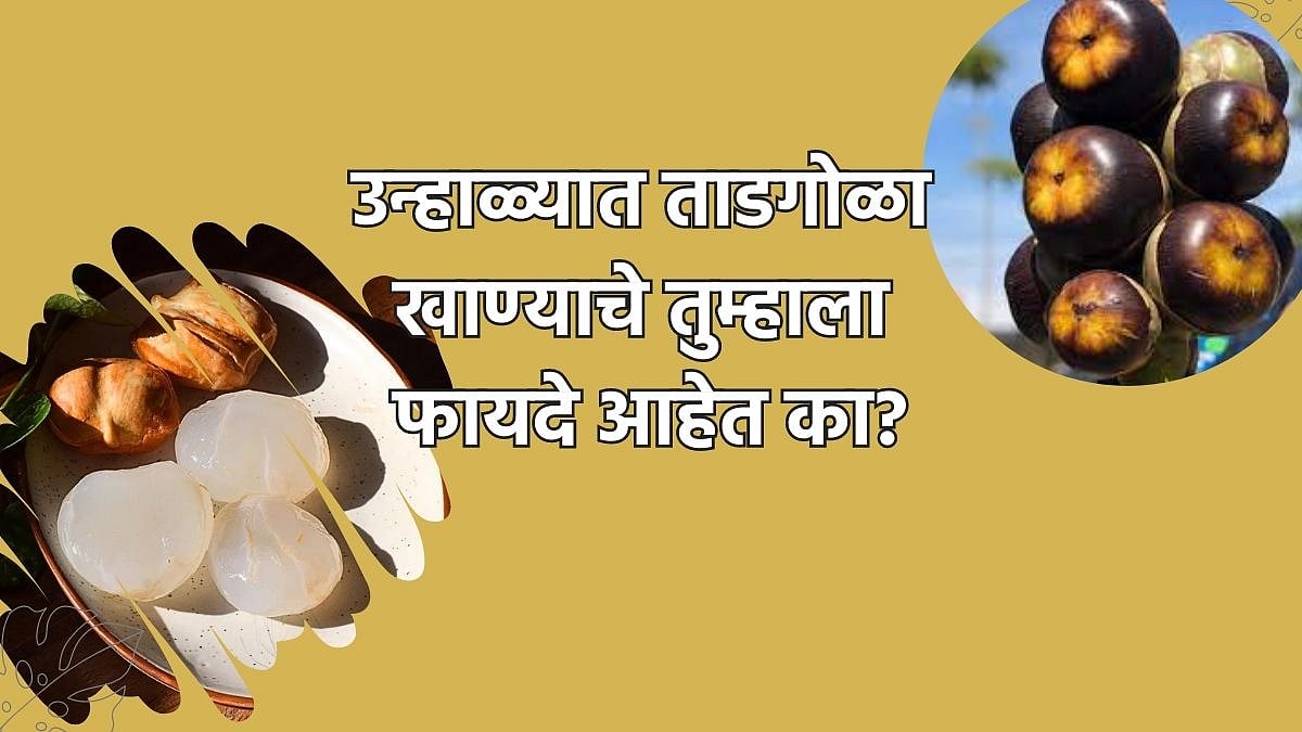 Benefits of Tadgola: उन्हाळ्यात ताडगोळा खाण्याचे तुम्हाला फायदे आहेत का ...