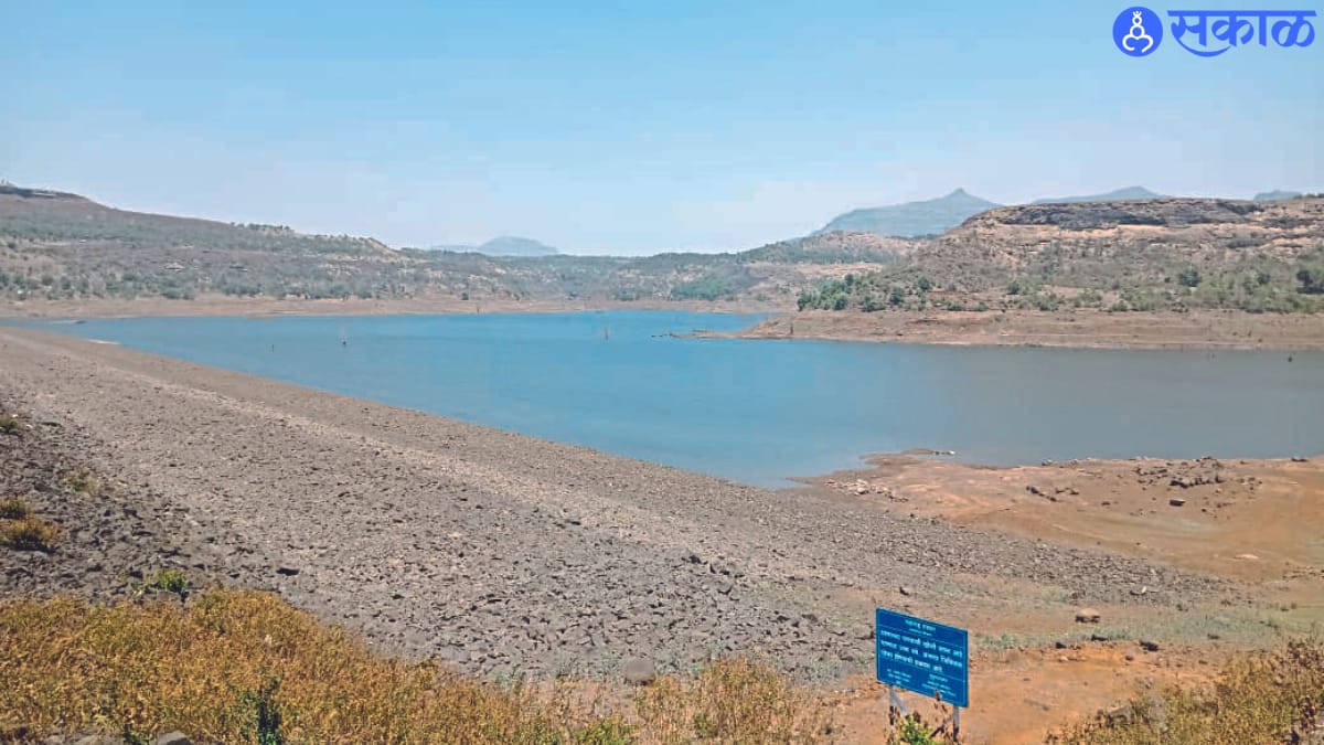 Nashik News : इगतपुरी तालुक्यात धरणे कोरडेठाक; जनावरांच्या हिरव्या ...