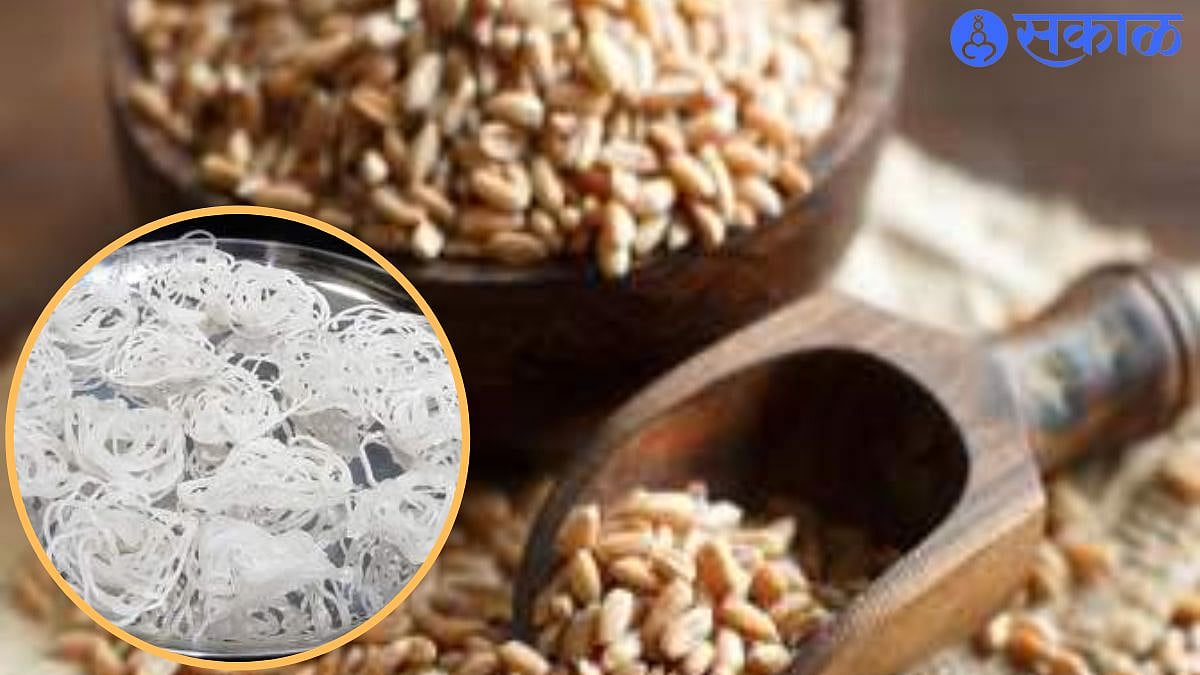 Kurdai Recipe : डबल फुगणारी गव्हाची कुरडई कशी बनवायची? |Kurdai Recipe ...