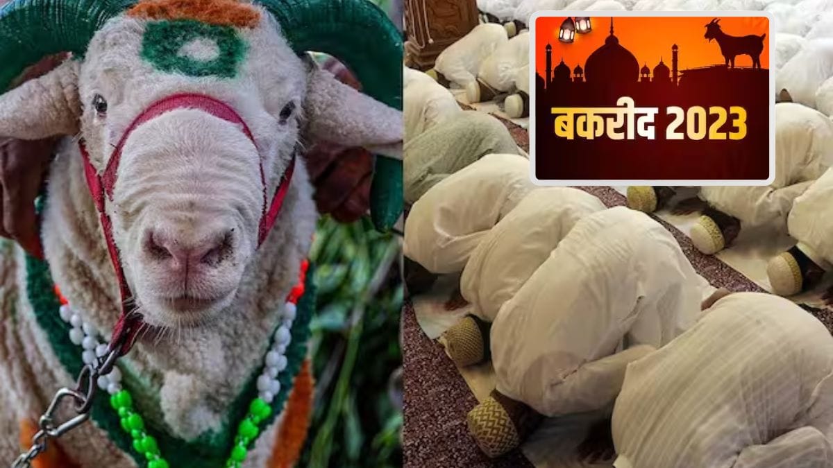 Bakari Eid 2023 : आज देशभरात साजरी होतेय बकरी ईद, या दिवशी कुर्बानी का ...