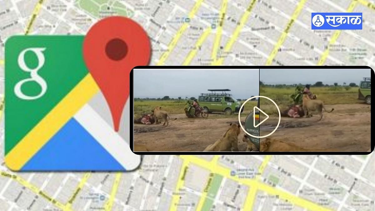 Google Map Viral Video : गुगल मॅपने गंडवलं! भाजी घेऊन निघाला थेट जंगलात पोहचला, सिंह सुद्धा झाले ...