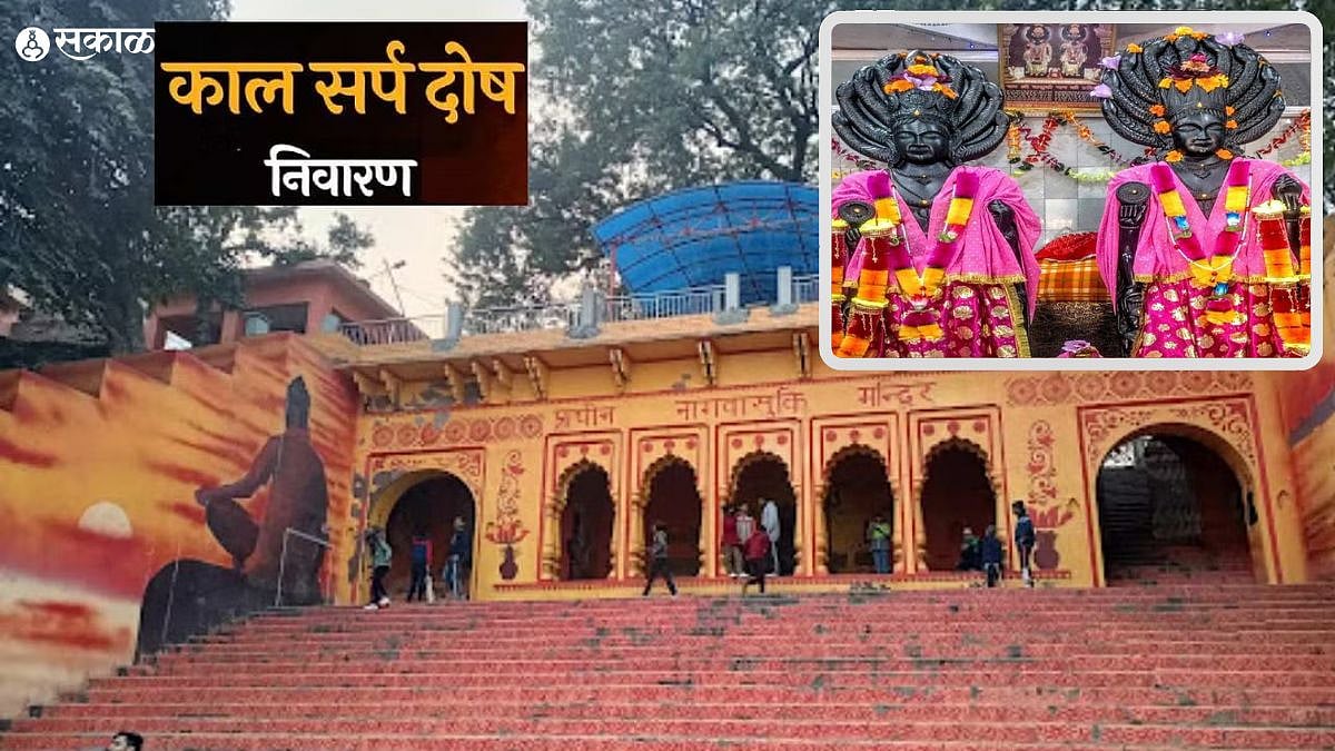 Kaal Sarp Dosh : जन्म पत्रिकेत कालसर्प दोष आहे? यामंदिरात दर्शन ...