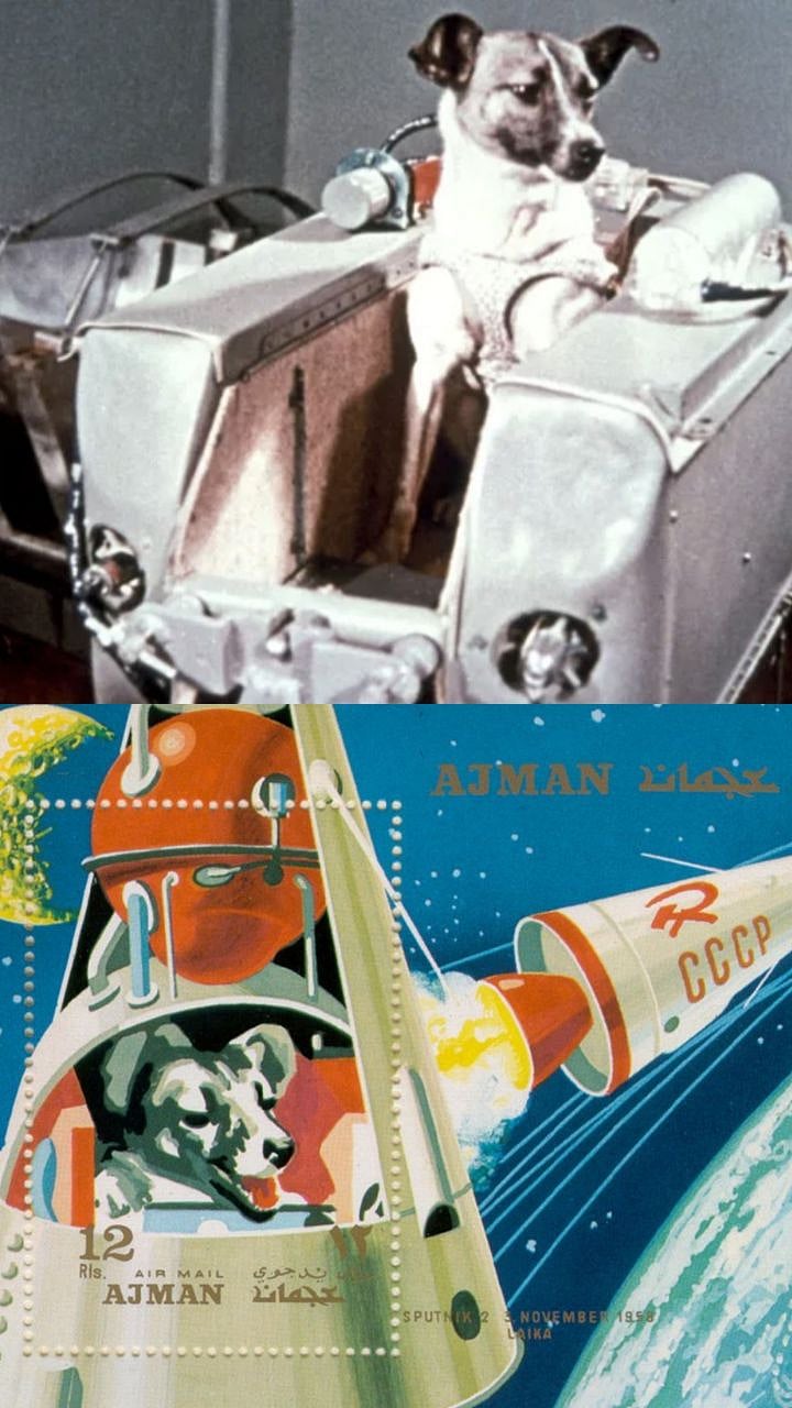 रशियाची स्पुतनिक-2 मोहीम, एका कुत्रीला पाठवले होते अंतराळात