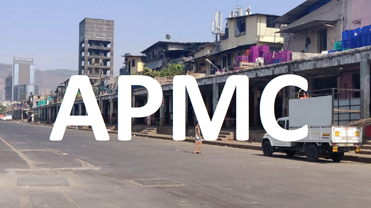 APMC कडून कंत्राटदारांचे उखळ पांढरे ; निर्यात भवन व बहुउद्देशीय ...