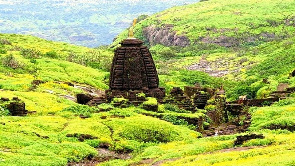 हरिश्चंद्रगडावरील पुरातन मंदिराची दुरावस्था ; नंदीचे तोंड झाले नाहीसे ...