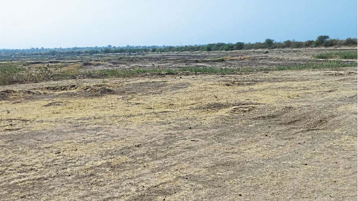 पाणलोट विकासकामांचा मायणी तलावाला फटका | Sakal