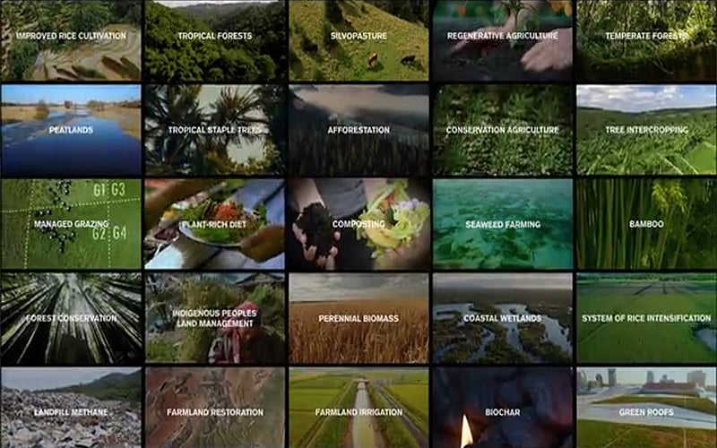 Kiss The Ground On Netflix Review: An Excessively Hopeful, Disorganized ...