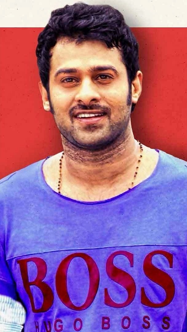 Mr Perfect Logo Prabhas