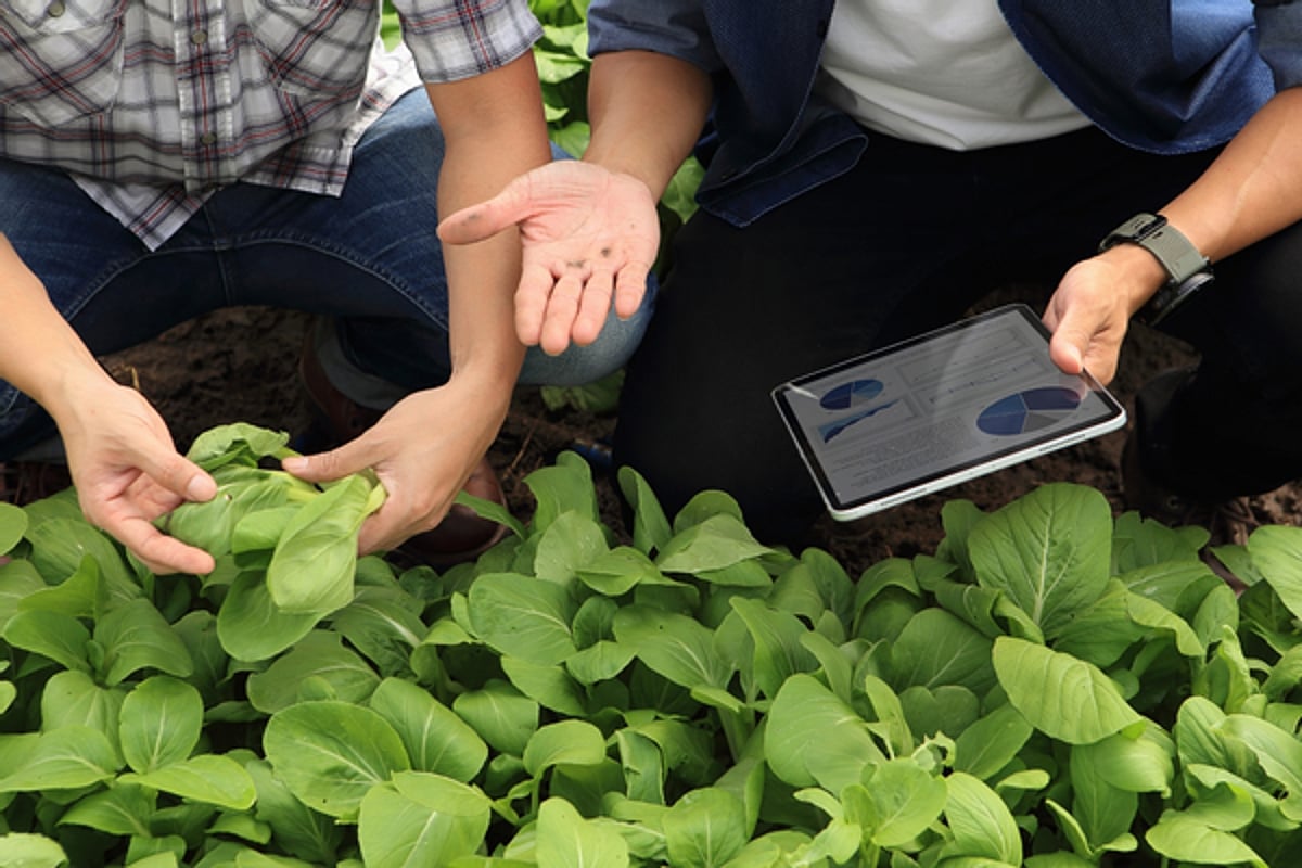 Cargill & Ecolab support emerging technologies with Techstars Farm to ...