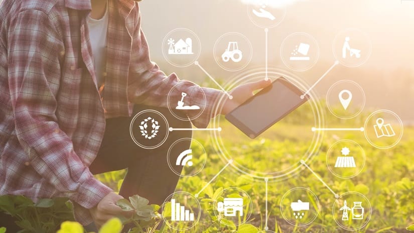 AI & farm analytics strengthens the future of food production