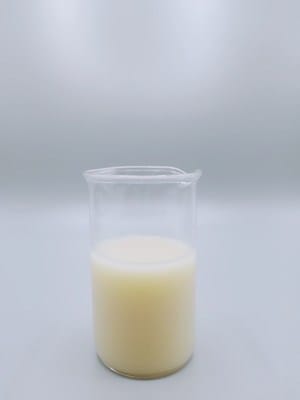Sophie's Bionutrients develops micro-algae-based milk alternative