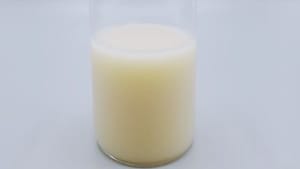 Sophie's Bionutrients develops micro-algae-based milk alternative