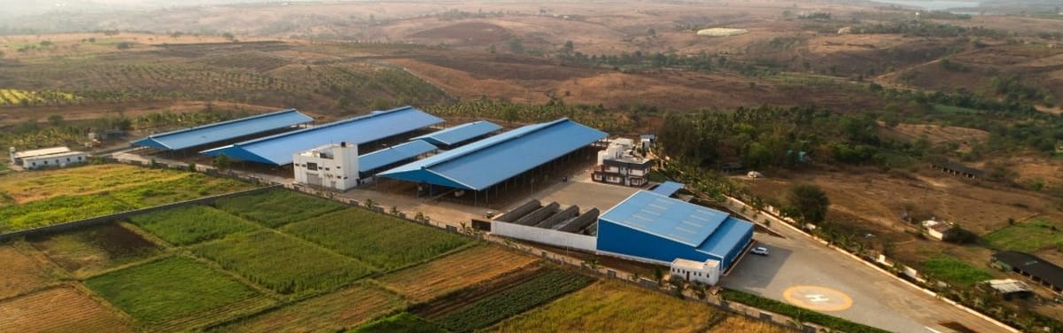 Mr Milk – A2 milk brand offers desi cow milk products