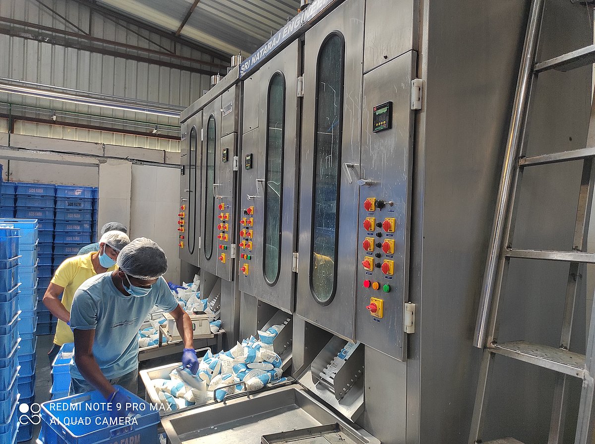 Sid's Farm launches cow and buffalo curd cups