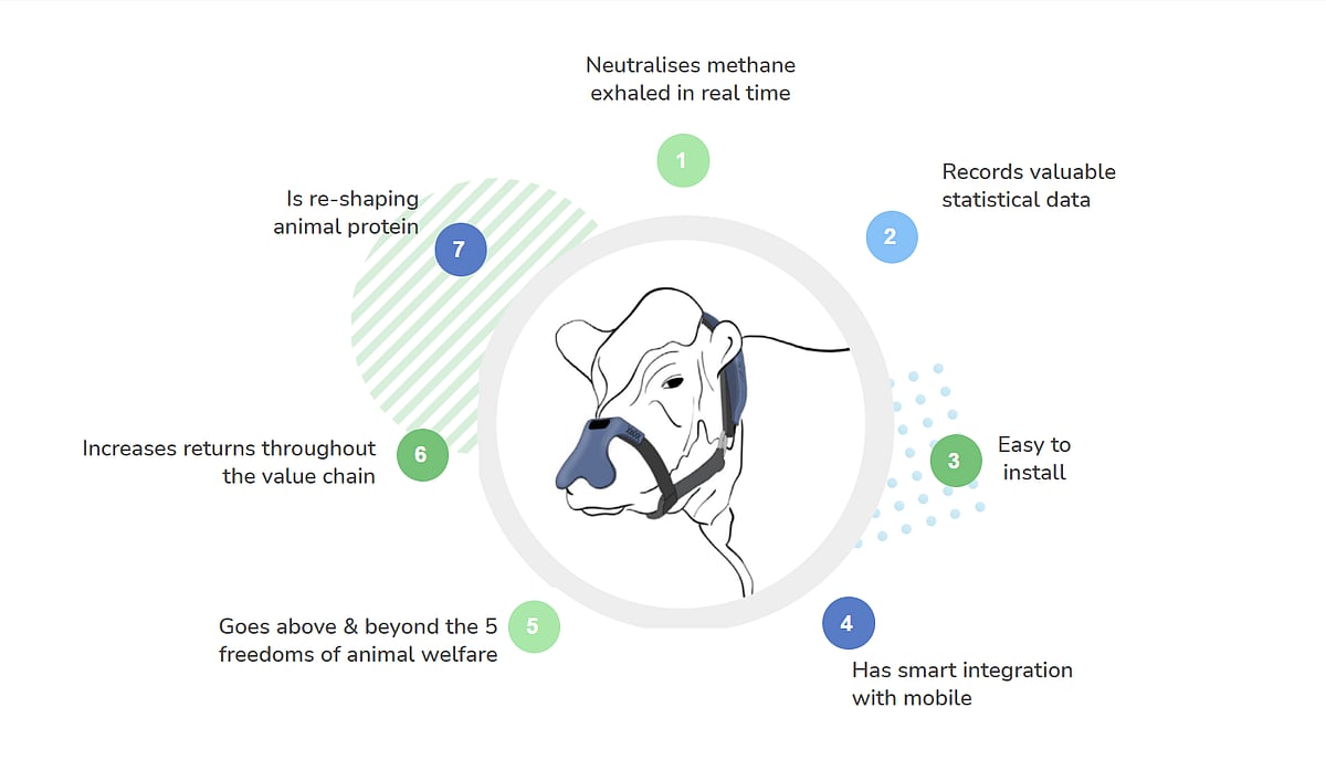 Cargill & ZELP to tackle methane emissions in the dairy industry