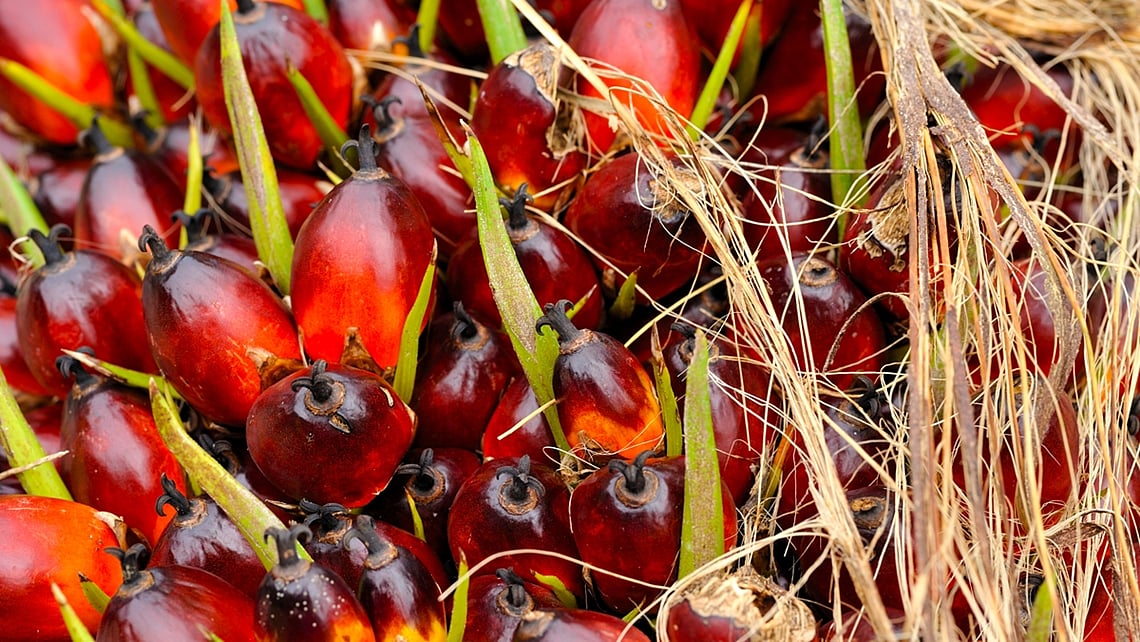 AAK partners with Nestlé & Musim Mas to address deforestation