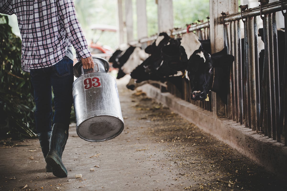 Mr. Milkman offers integrated supply chain solutions from 'Dairy farm ...