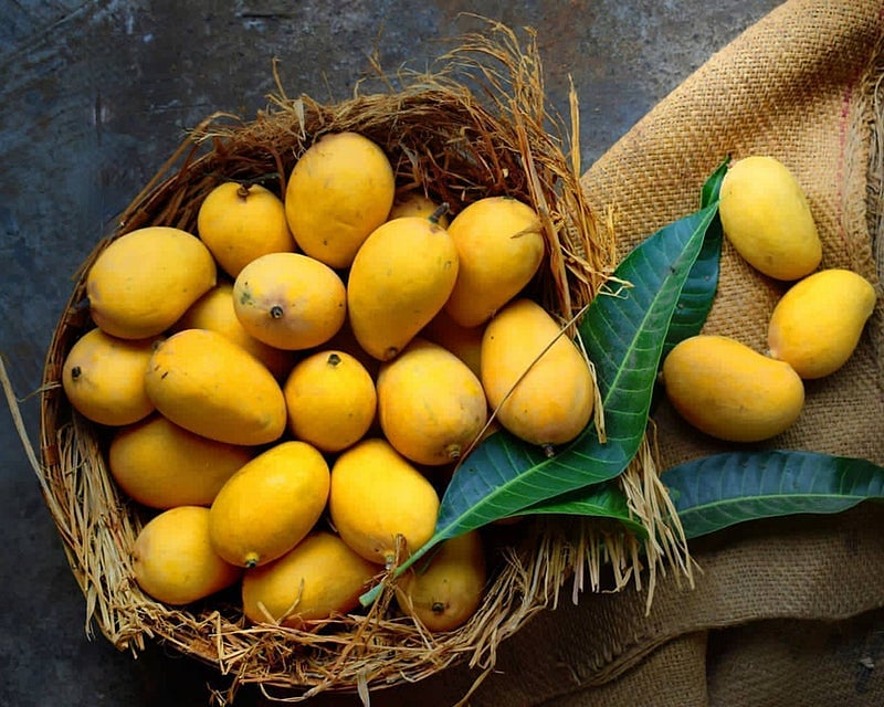 Konkan Alphonso mango farmers come together; unveil international brand ...